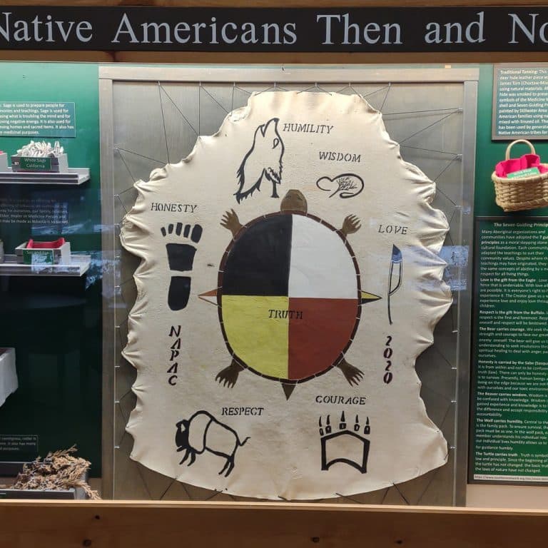 Exhibits - Sally Manzara Interpretive Nature Center