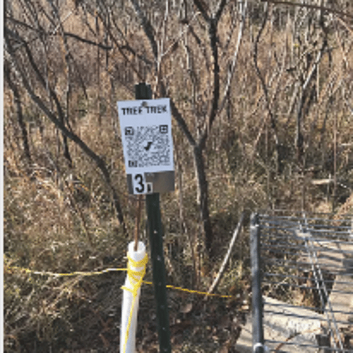 3 Chestnut Crabapple - Sally Manzara Interpretive Nature Center